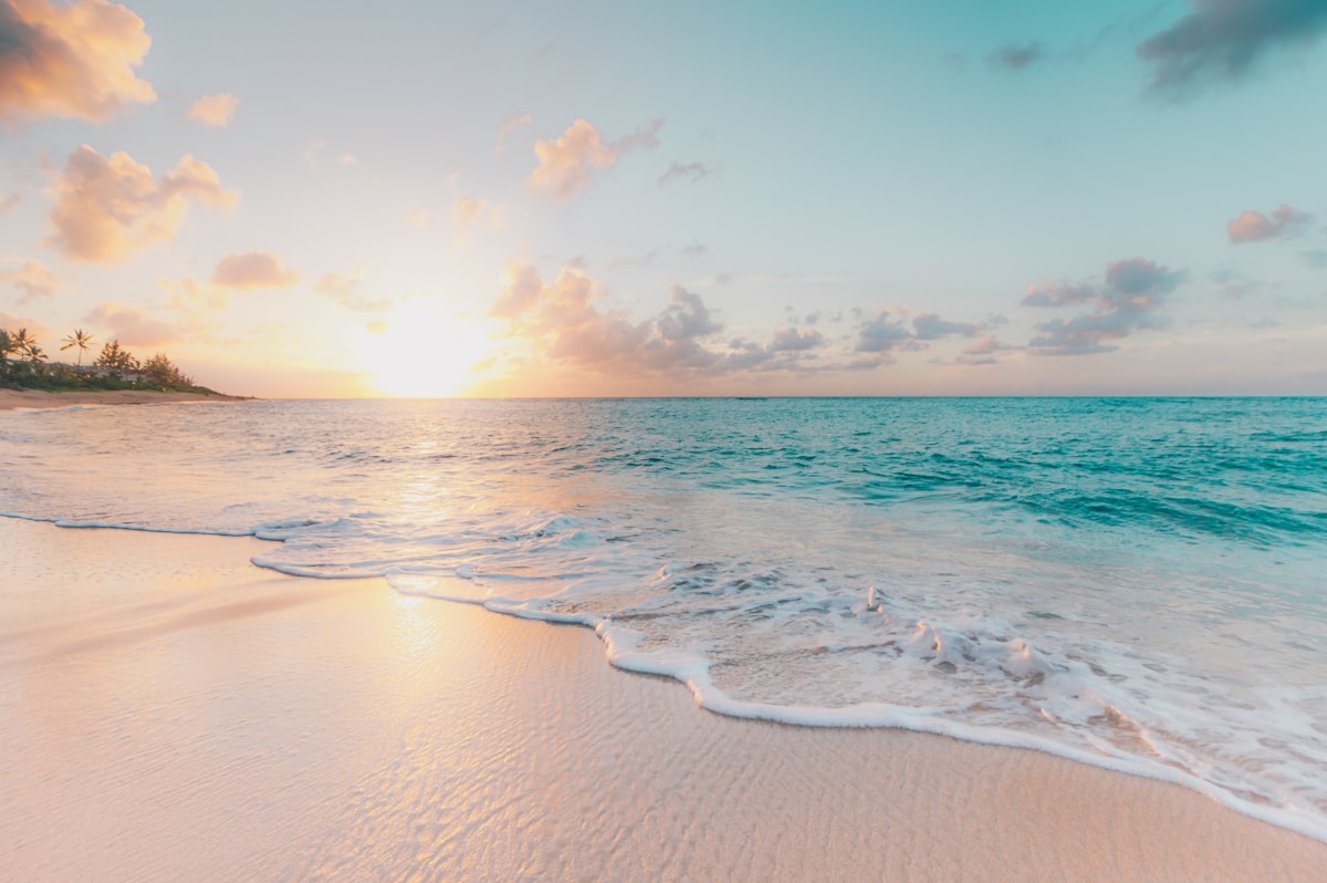 Three New Lopesan Resorts Open May 1 in Punta Cana — The Caribbean's ...